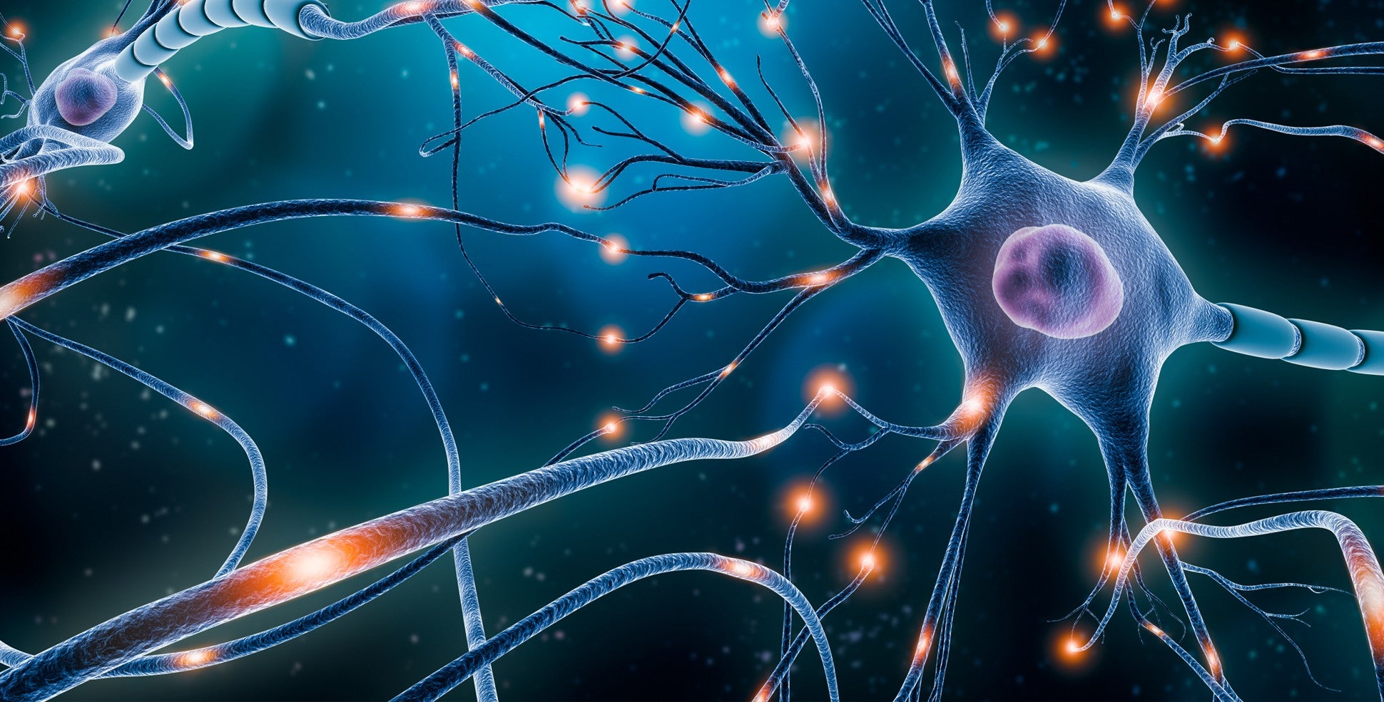 Multiple Sclerosis (MS) and Demyelinating Disorders | Lehigh Valley Health Network